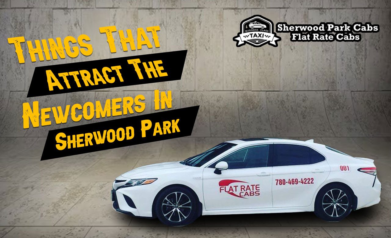 What is the origin of taxis and the benefits of hiring a taxi ...